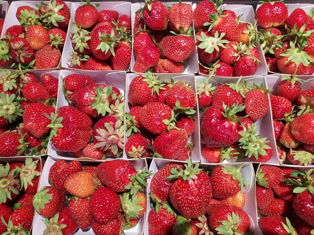 Camping de La Ferme Où l'on Sème - Destination Mont Saint-Michel Normandie